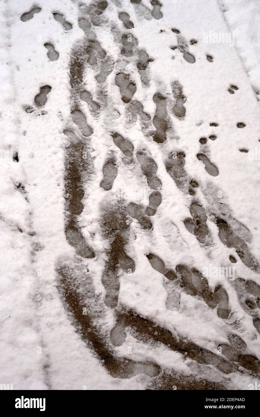 Imprints hi-res stock photography and images - Alamy