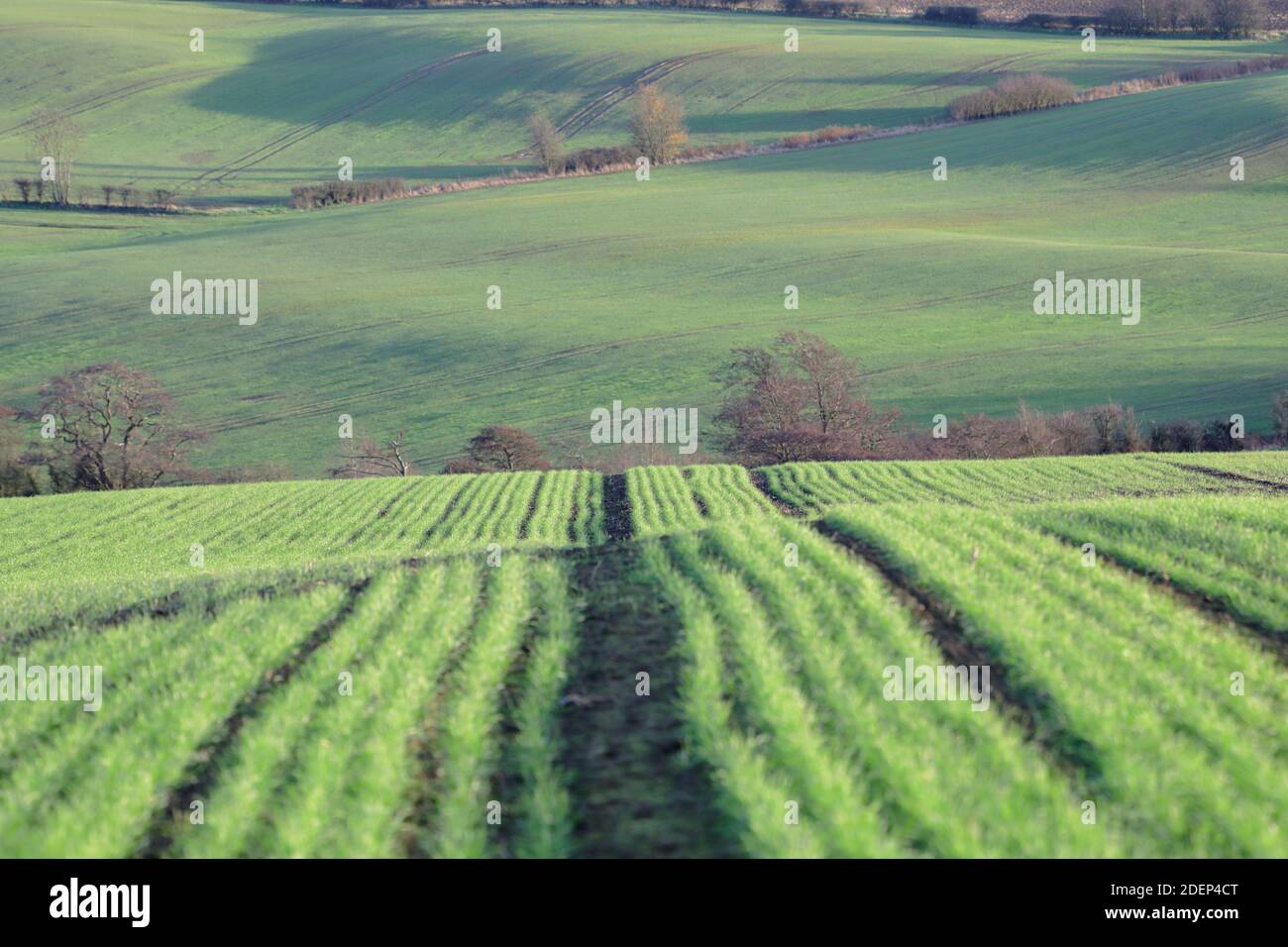 Farmers planting trees hi-res stock photography and images - Alamy