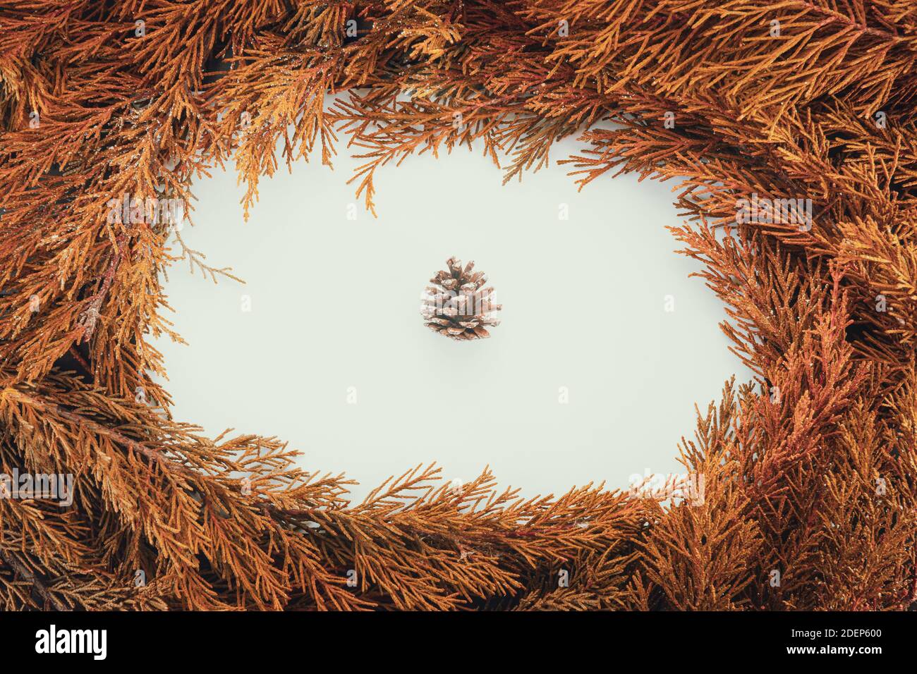 Circle frame with pine tree branches or needles isolated on white ...