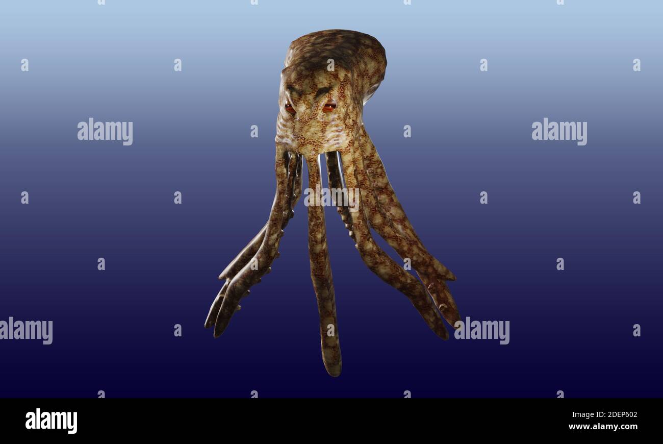 Octopus underwater scenery hi-res stock photography and images - Alamy