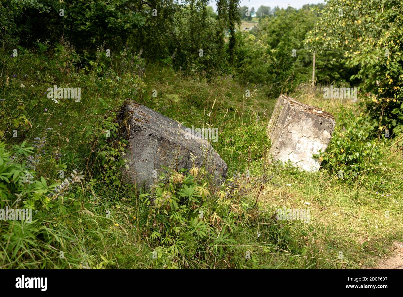 Two concrete blocks lying in the forest Stock Photo - Alamy