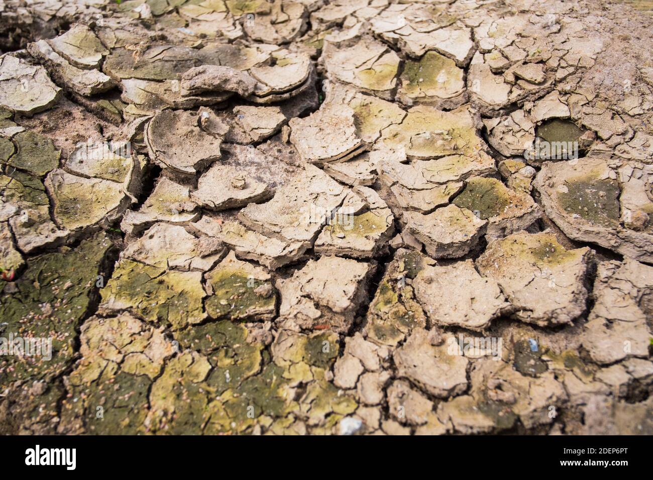 Cracked dry soil in countryside Stock Photo - Alamy