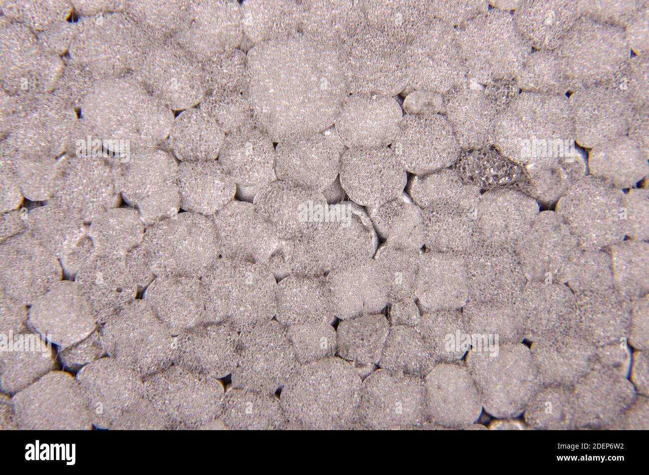 Macro close up of graphite polystyrene for thermal insulation of house ...