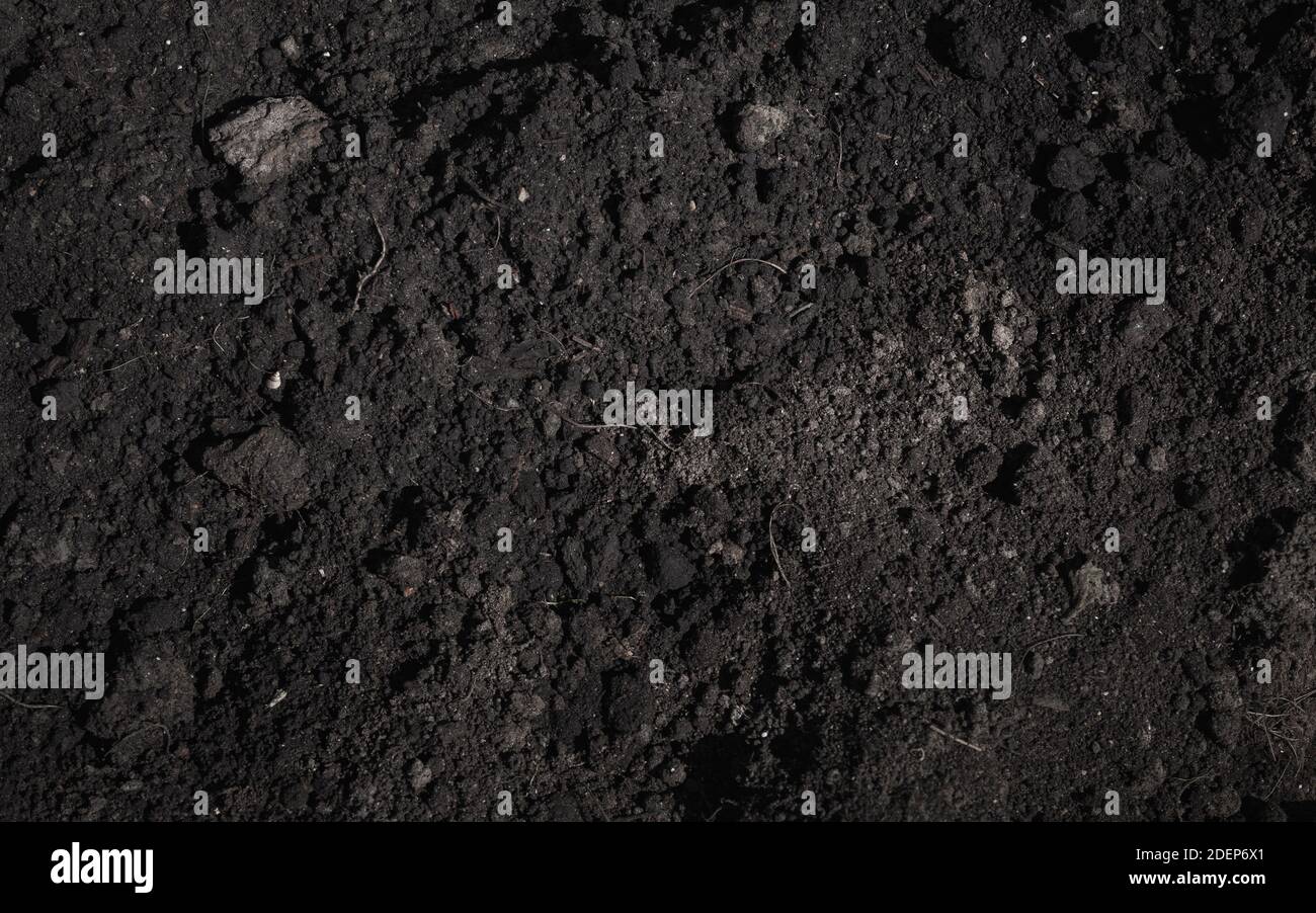 Chernozem, dark type of natural soil, background photo texture Stock ...