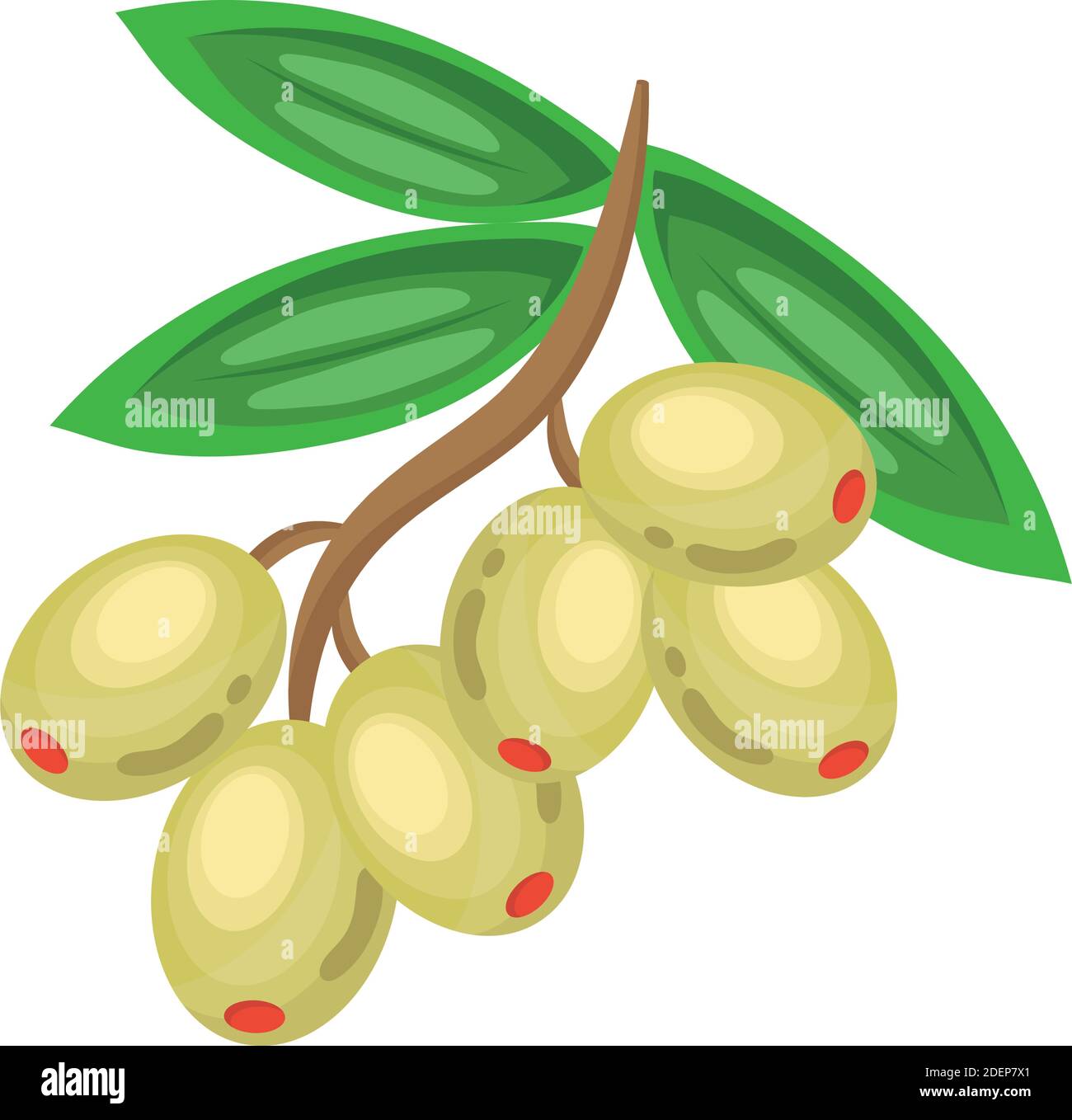 fresh vegetable olive seed healthy food icon Stock Vector Image & Art ...