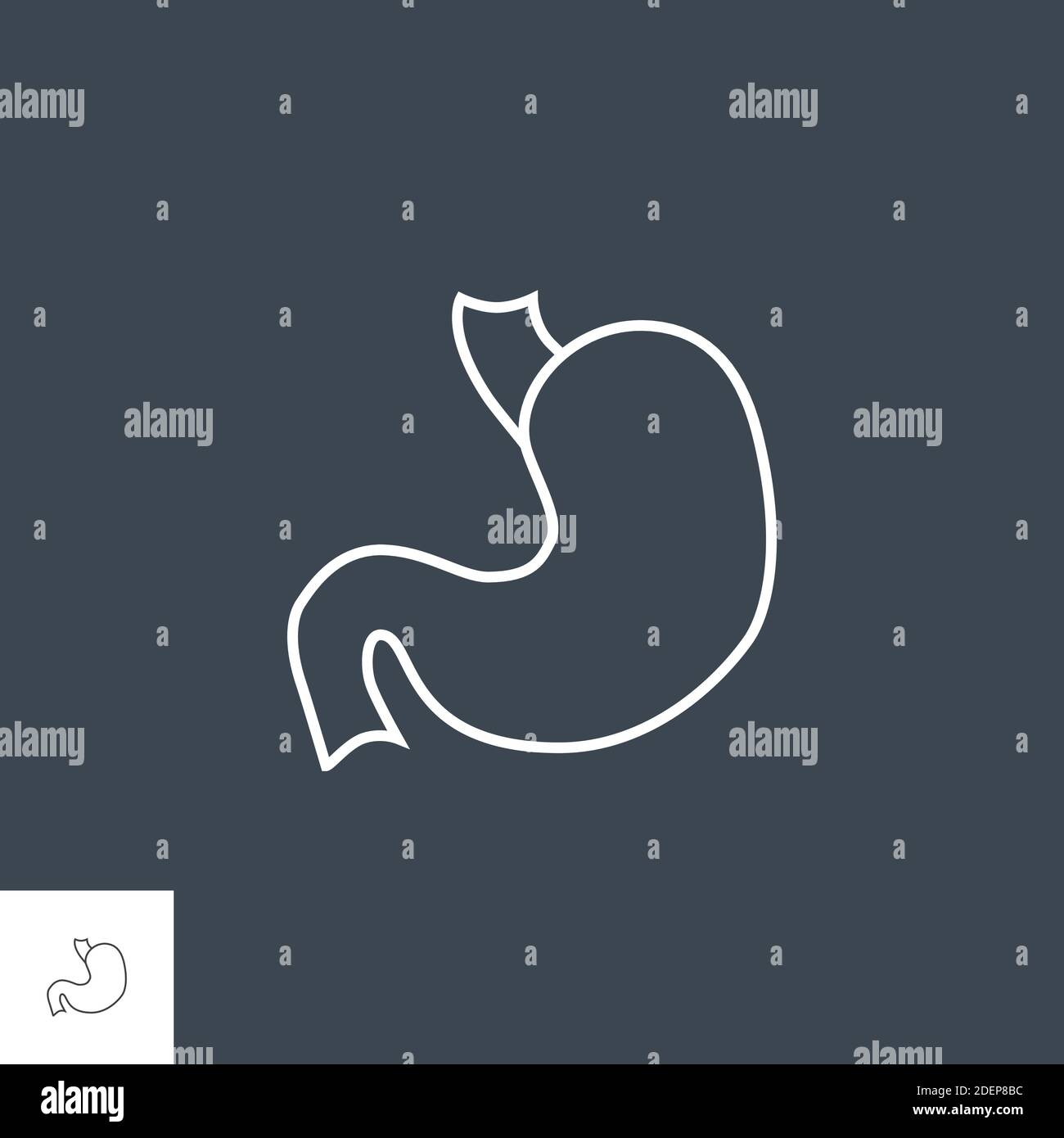 Anatomical stomach icon human Stock Vector Images - Alamy