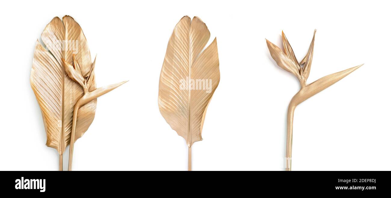 Set of golden palm leaves and flowers Stock Photo - Alamy