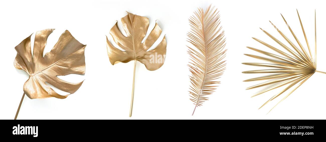 Leaves palm monstera border Cut Out Stock Images & Pictures - Alamy