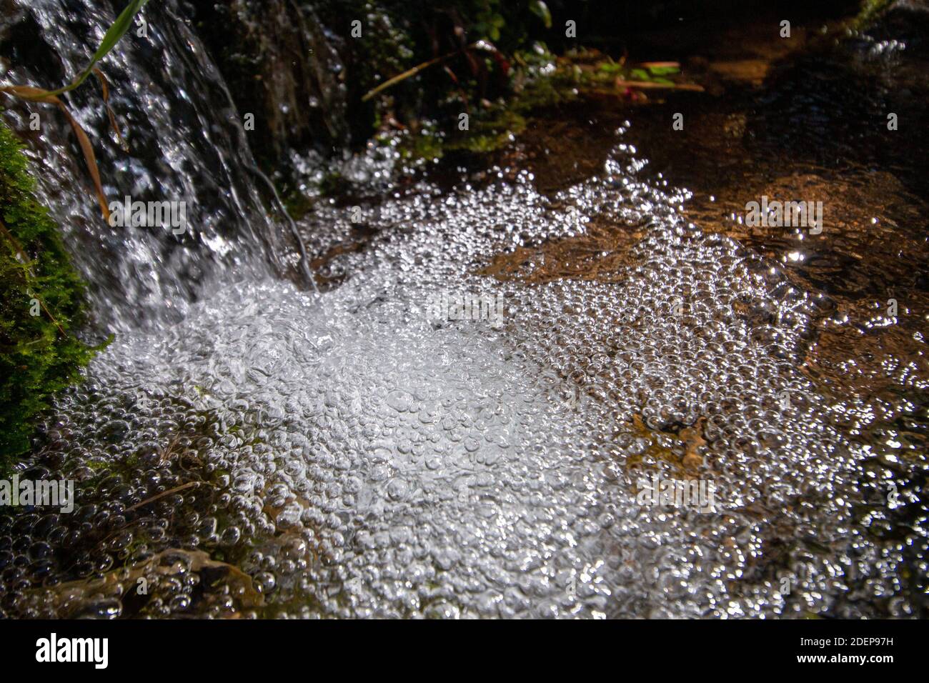 fresh river water flowing closeup with vegetation and stones Stock ...