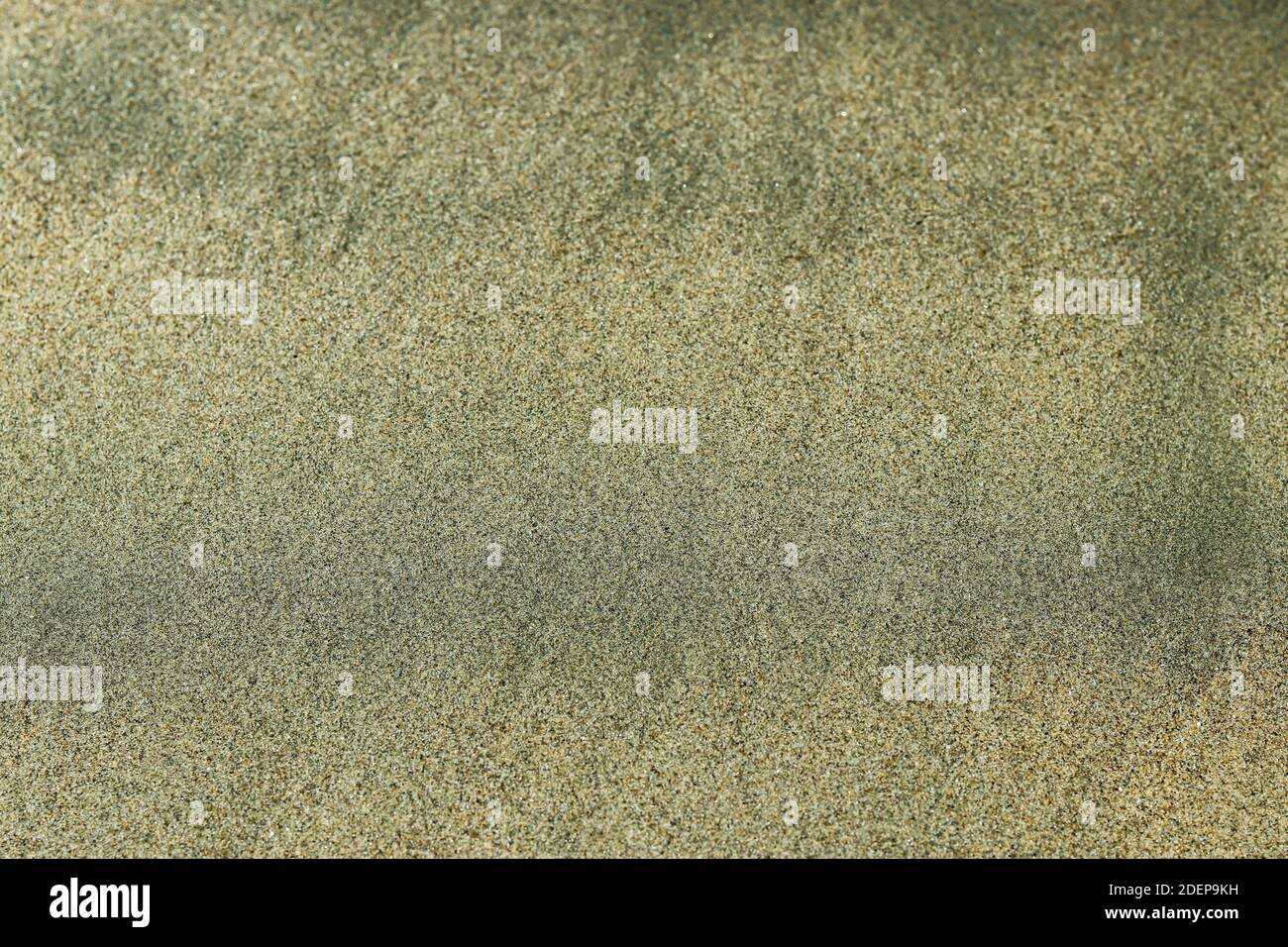 Sand surface from sea beach cox's bazaar in bd Stock Photo - Alamy