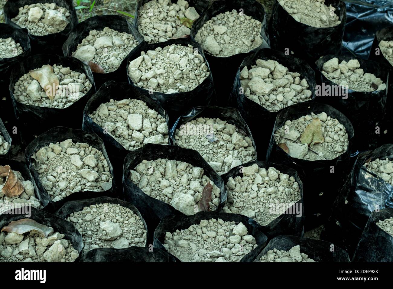 Polythene bag hi-res stock photography and images - Alamy