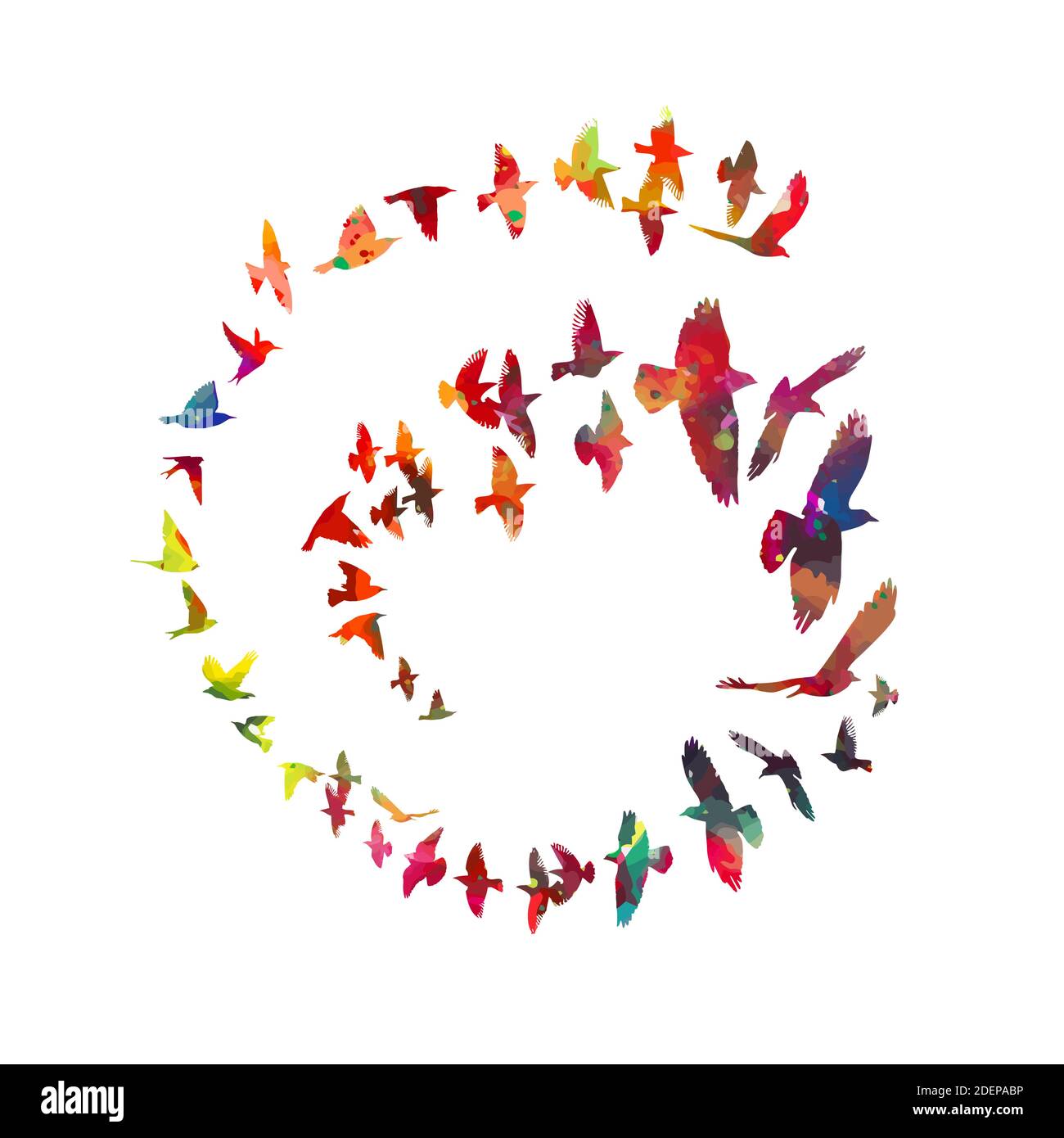Multi-colored Birds fly in a circle. A flock of colorful birds. Mixed ...