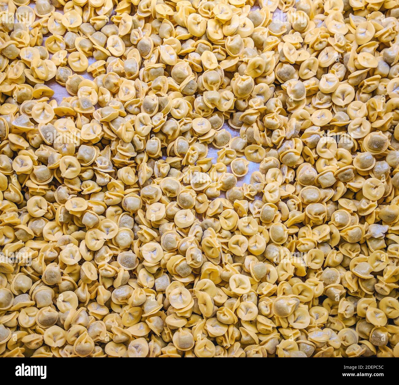 Hand made Cappelletti pasta. This is pasta in the form of little peaked ...