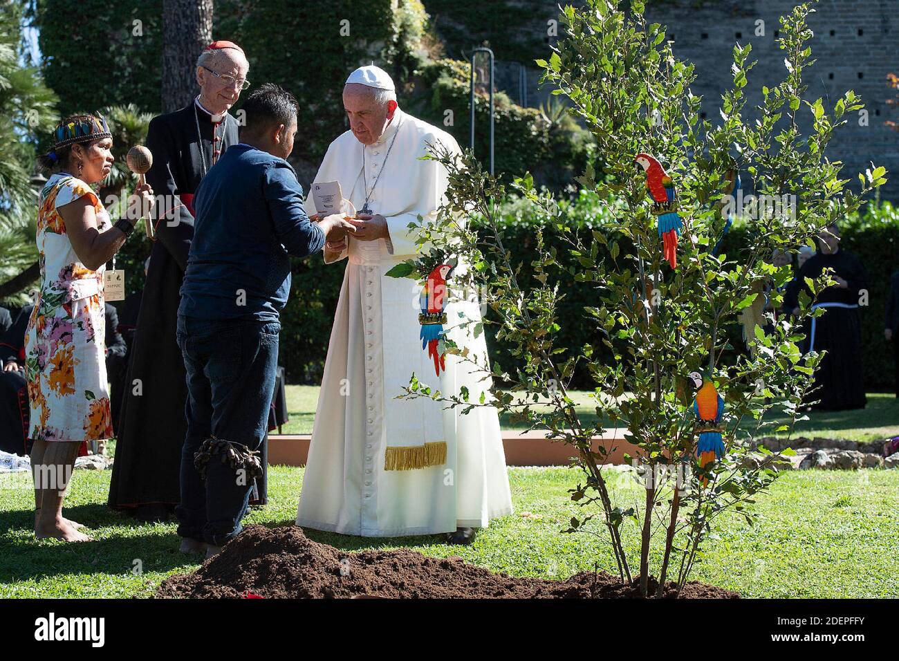 Pope Francis attends a highly symbolic tree-planting ceremony in the ...