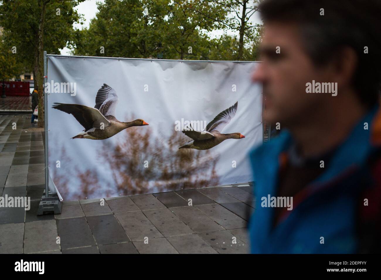 Picture of a goose on the place de la republique. Protest in opposition ...