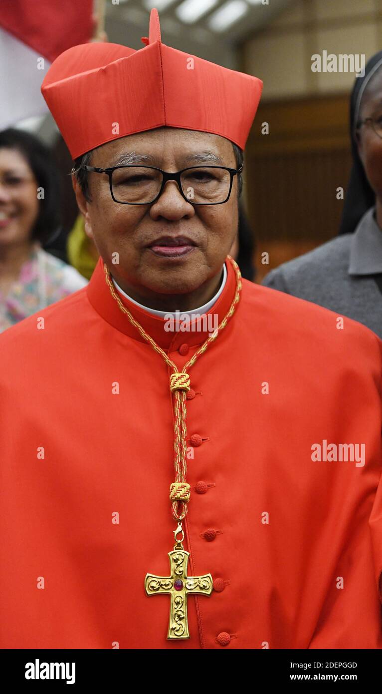 New cardinal Ignatius Suharyo Hardjoatmodjo (Indonesia) poses as he ...