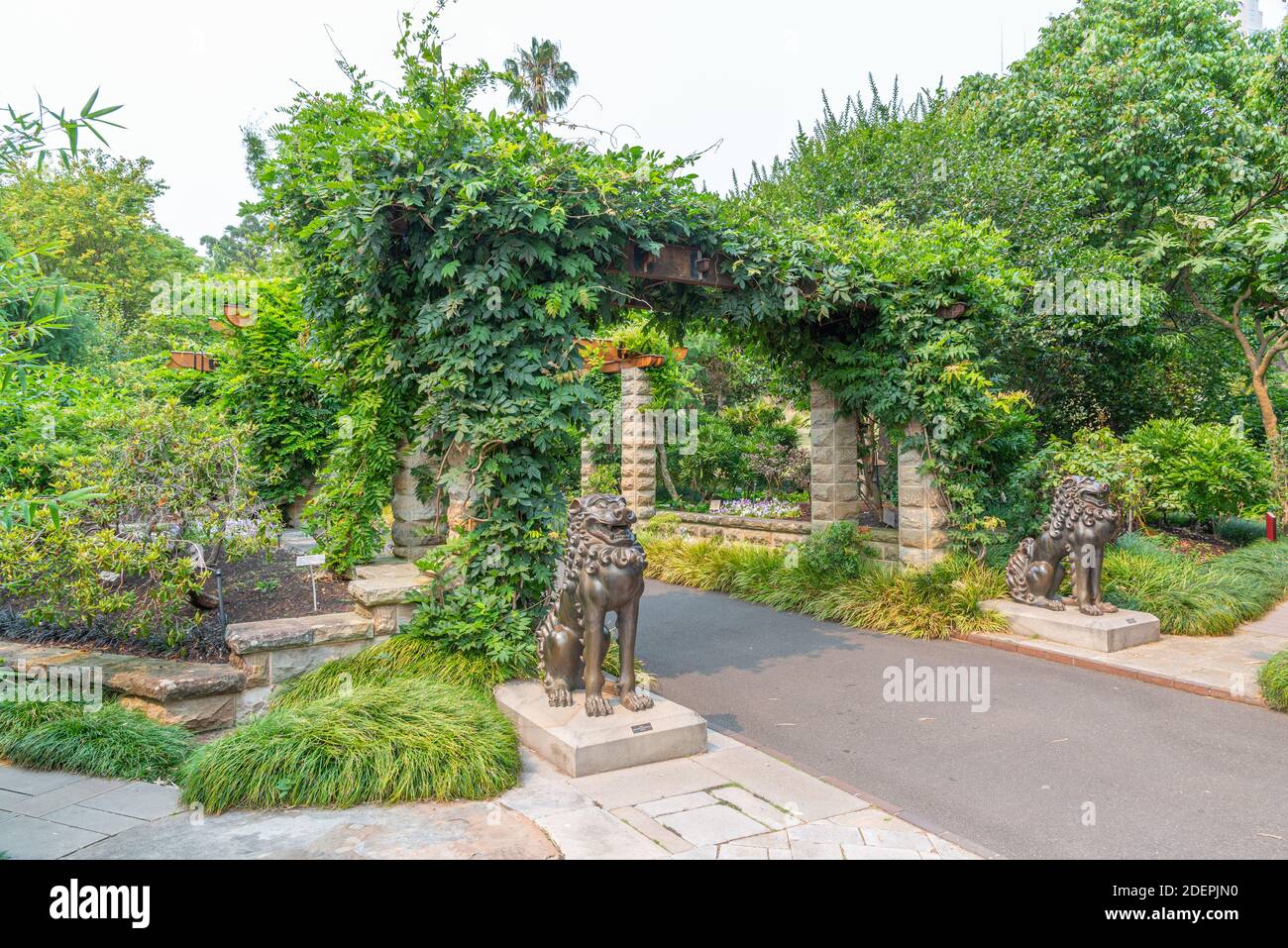 Sydney botanical garden in Australia Stock Photo - Alamy