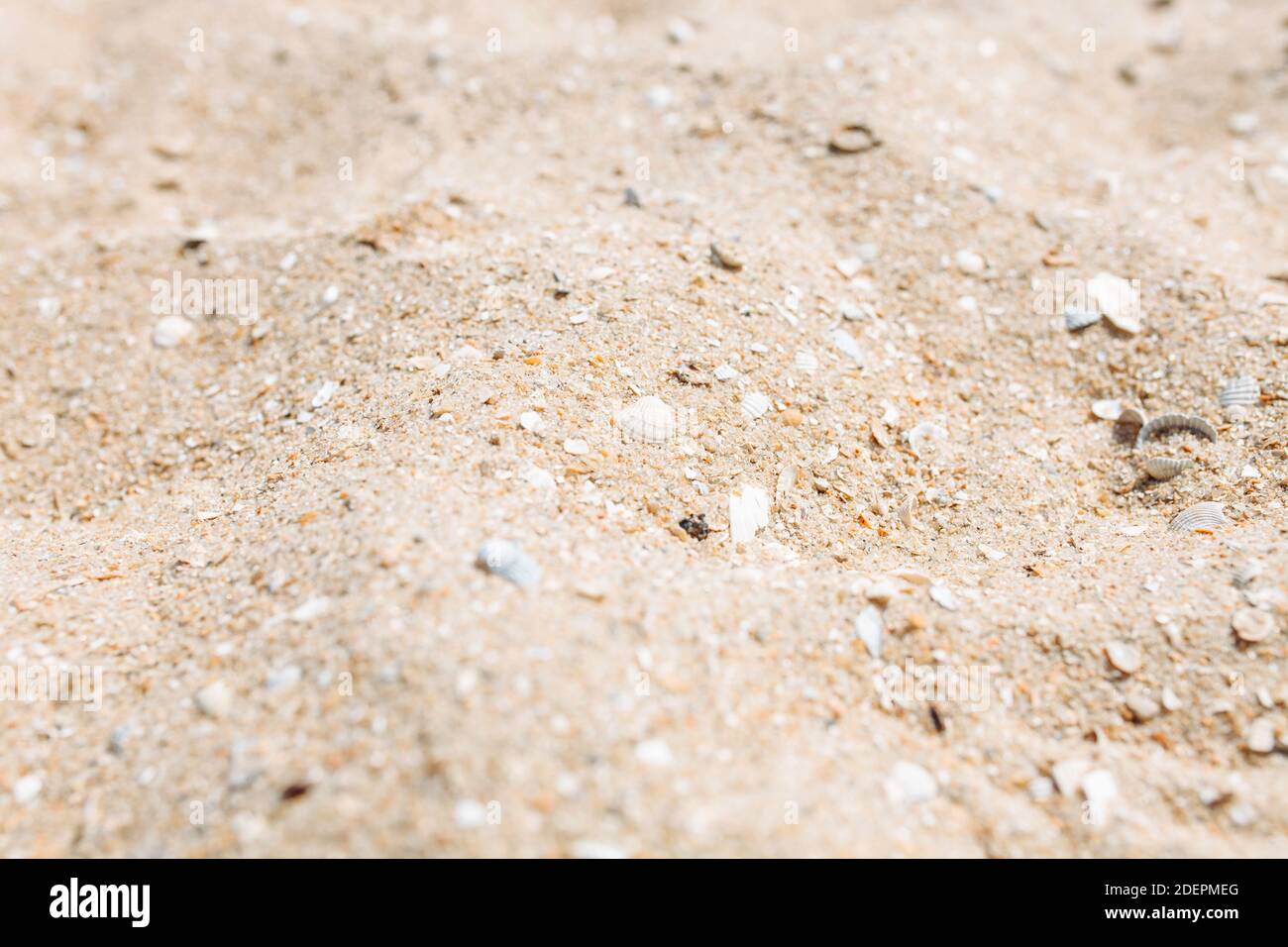 Sand close-up, sand texture, empty beach isolated Stock Photo - Alamy