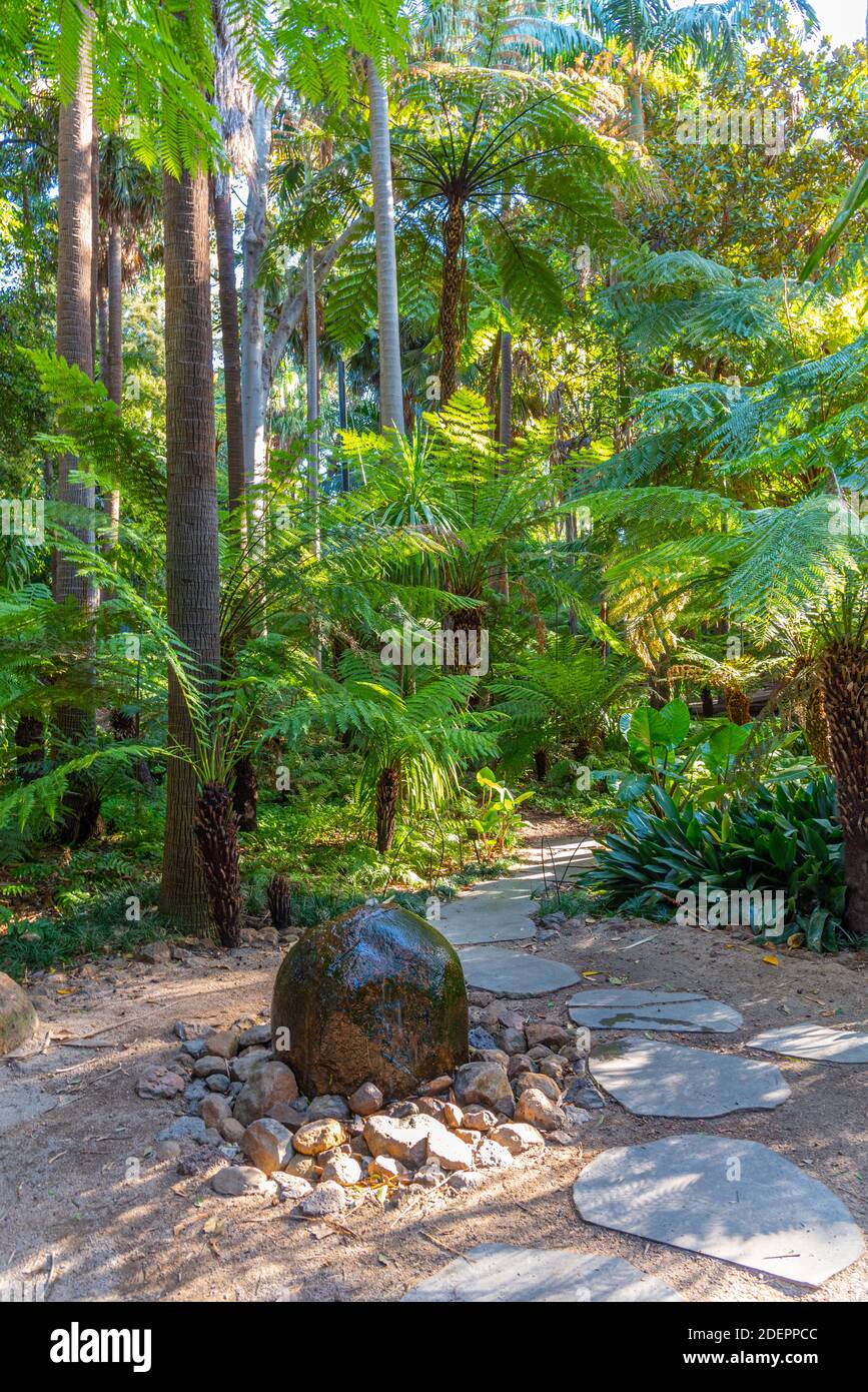 Fern gully trail at Royal botanic garden in Melbourne, Australia Stock ...