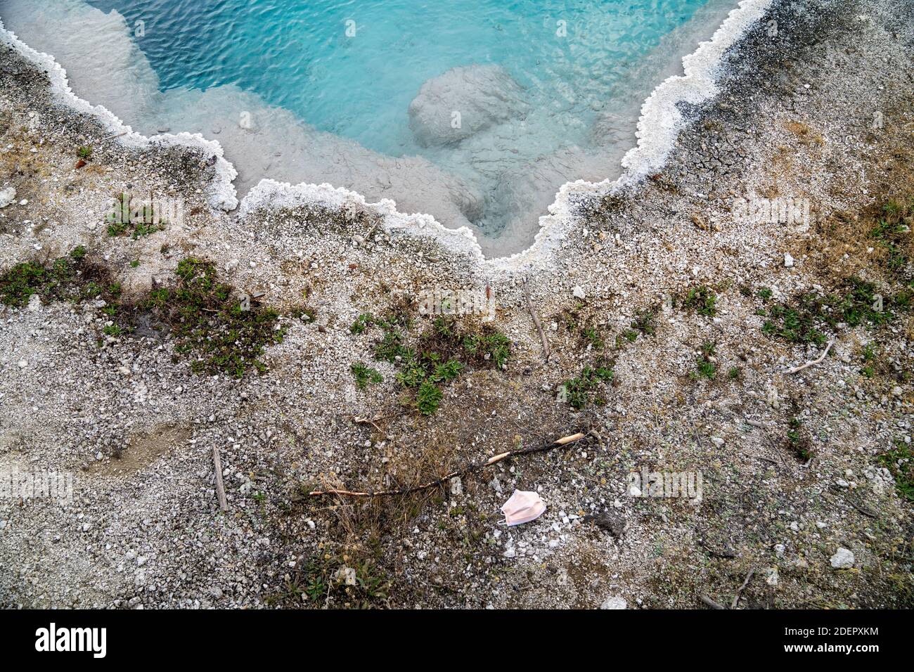 Disgarded, littered surgical face mask sitting in the Black Pool, a hot ...