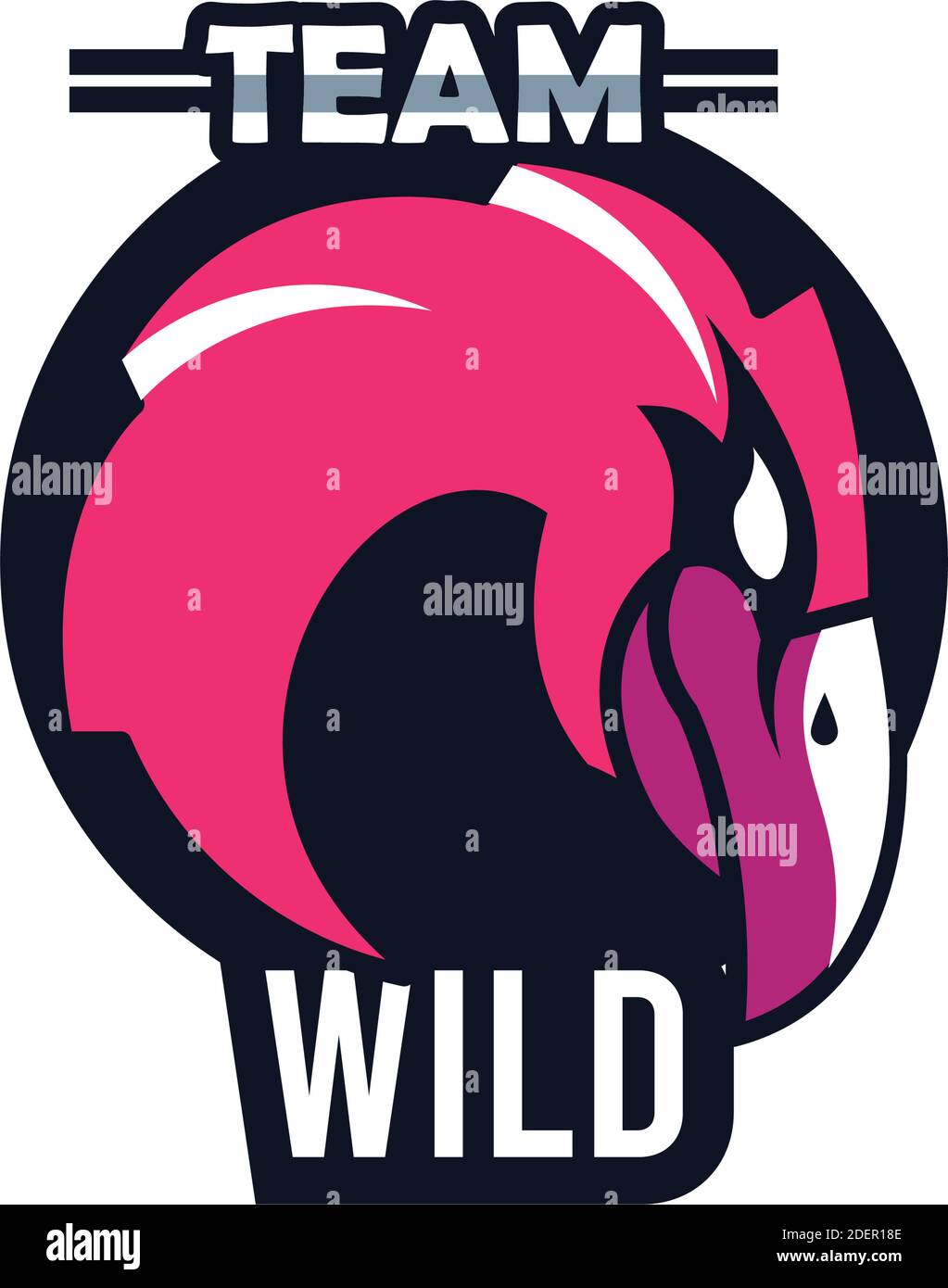 bald eagle head animal emblem icon with team wild lettering vector ...