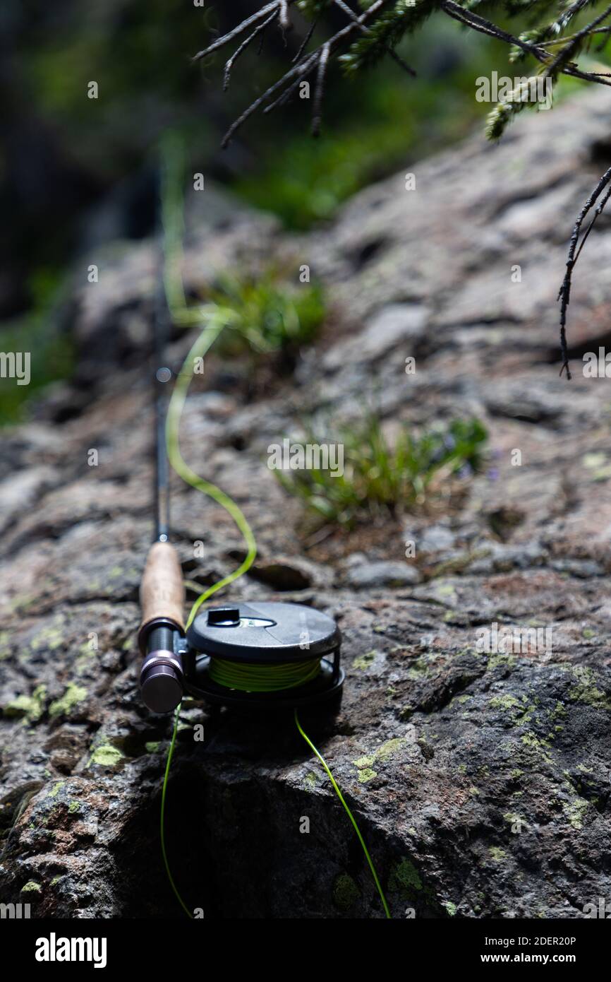 A vertical shot of a fishing rod on a rocky surface under the sunlight ...