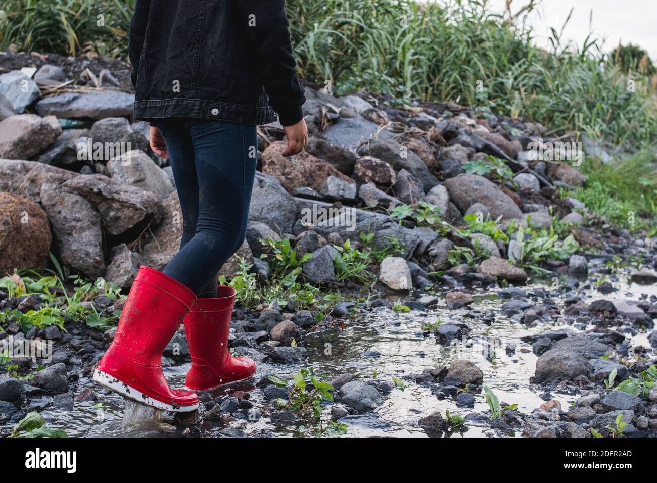 Girl walking with her back to the camera, along a small stream with her ...