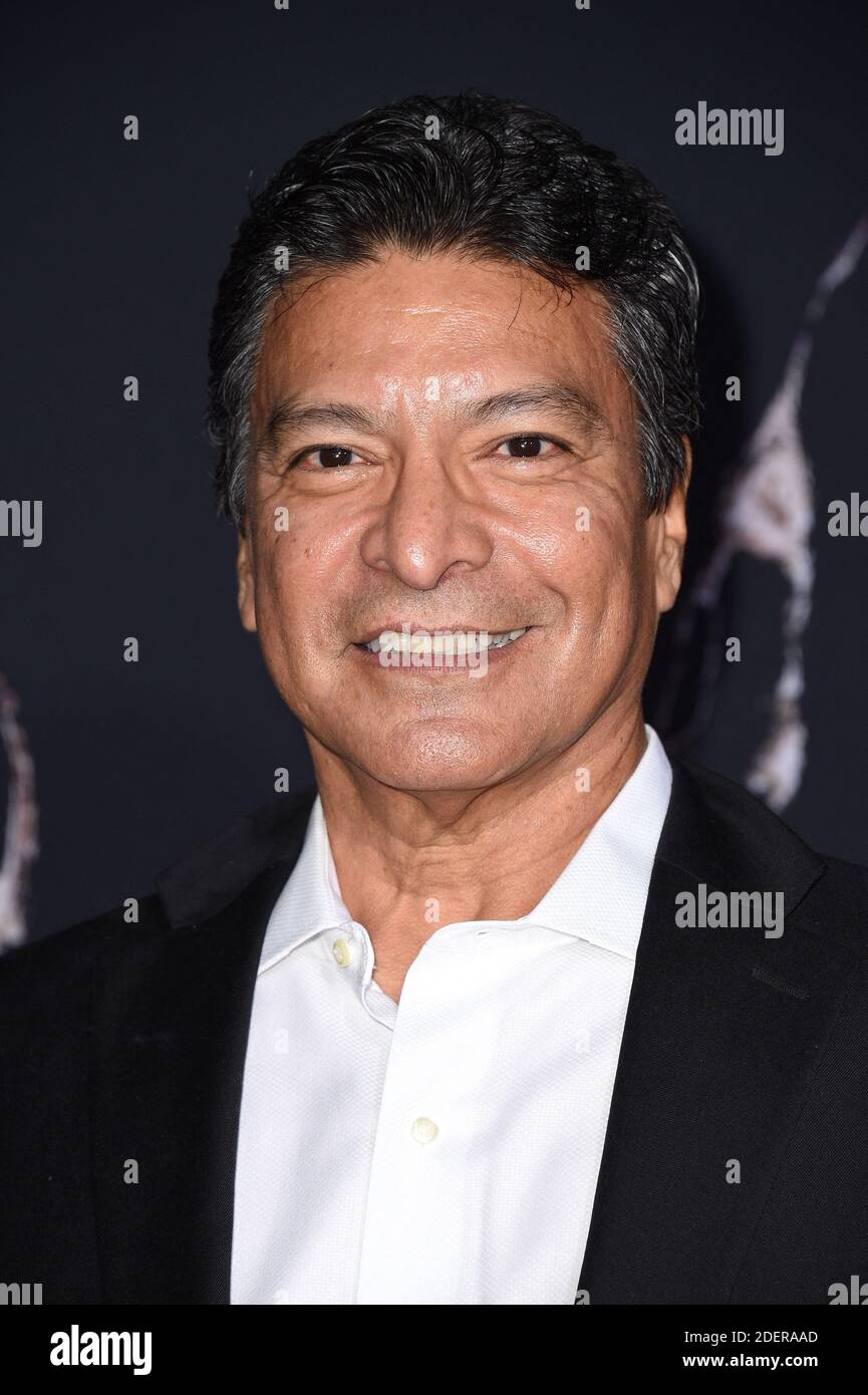 Gil Birmingham attends the premiere of Warner Bros Pictures "Doctor ...
