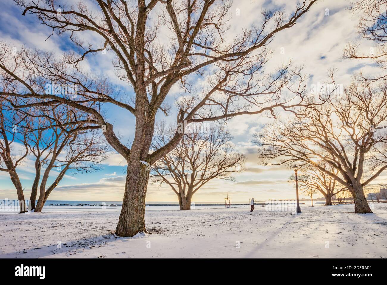 Toronto landscape hi-res stock photography and images - Alamy