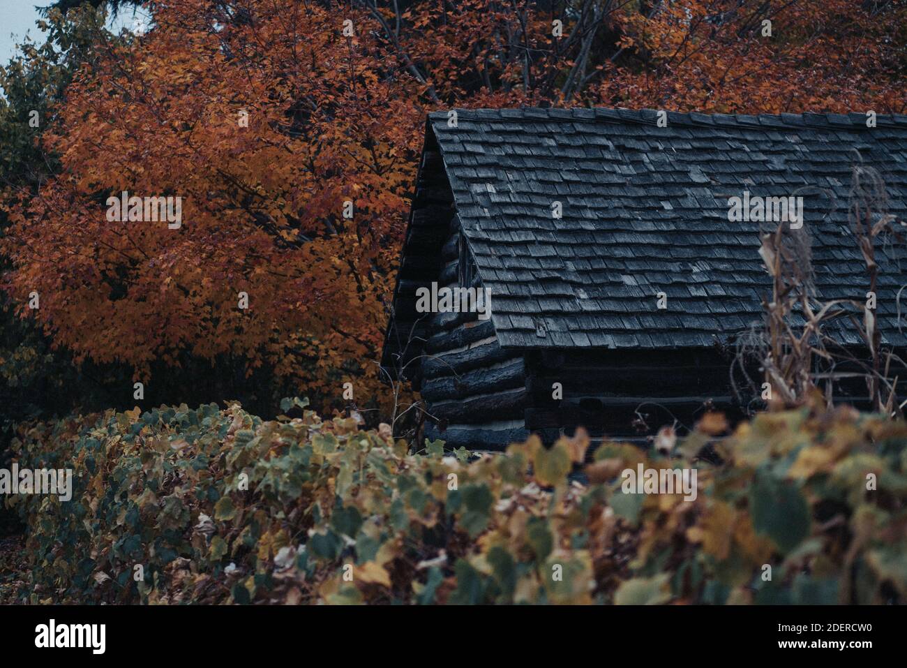 All original pictures Stock Photo - Alamy
