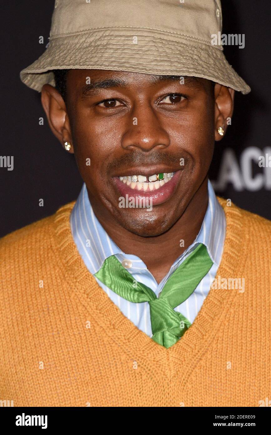 Tyler, the Creator attends the 2019 LACMA 2019 Art + Film Gala on ...