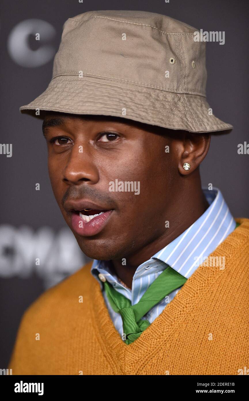 Tyler, the Creator attends the 2019 LACMA 2019 Art + Film Gala on ...
