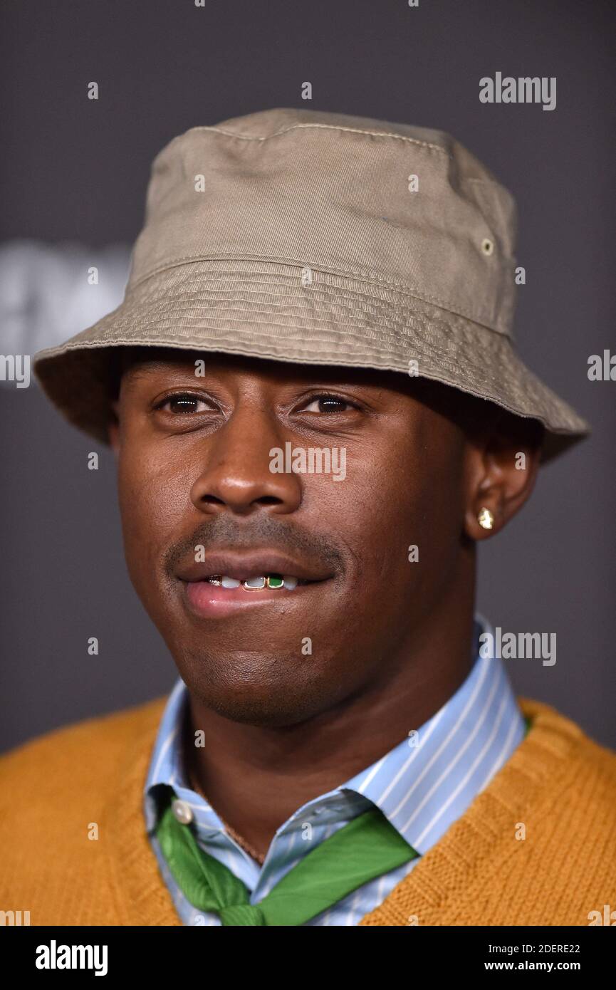 Tyler, the Creator attends the 2019 LACMA 2019 Art + Film Gala on ...