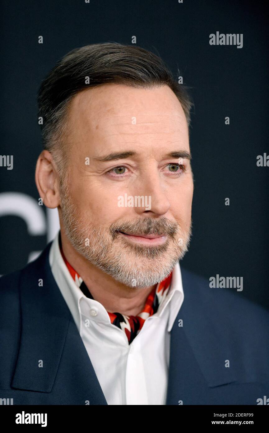 David Furnish attends the 23rd Annual Hollywood Film Awards at The ...