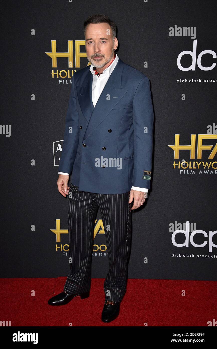 David Furnish attends the 23rd Annual Hollywood Film Awards at The ...