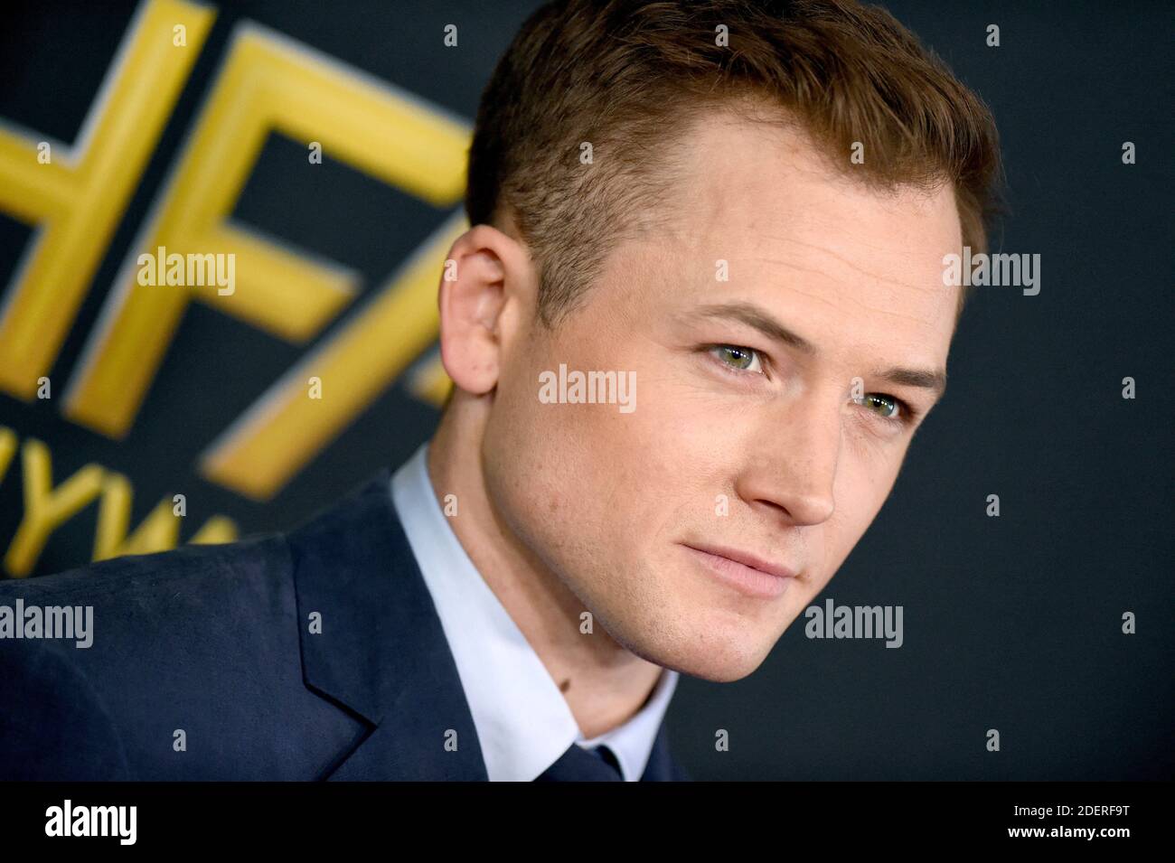 Taron Egerton attends the 23rd Annual Hollywood Film Awards at The ...