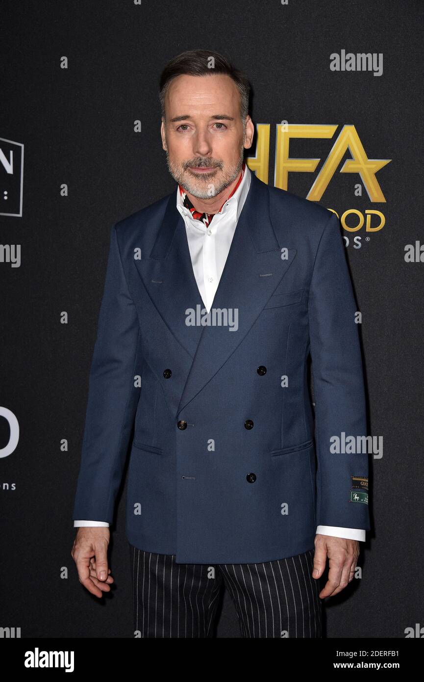 David Furnish attends the 23rd Annual Hollywood Film Awards at The ...