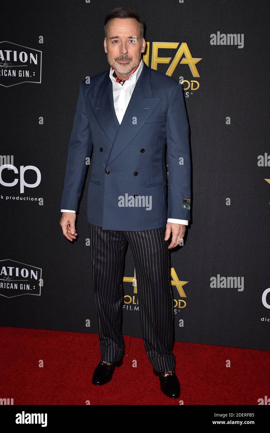 David Furnish attends the 23rd Annual Hollywood Film Awards at The ...