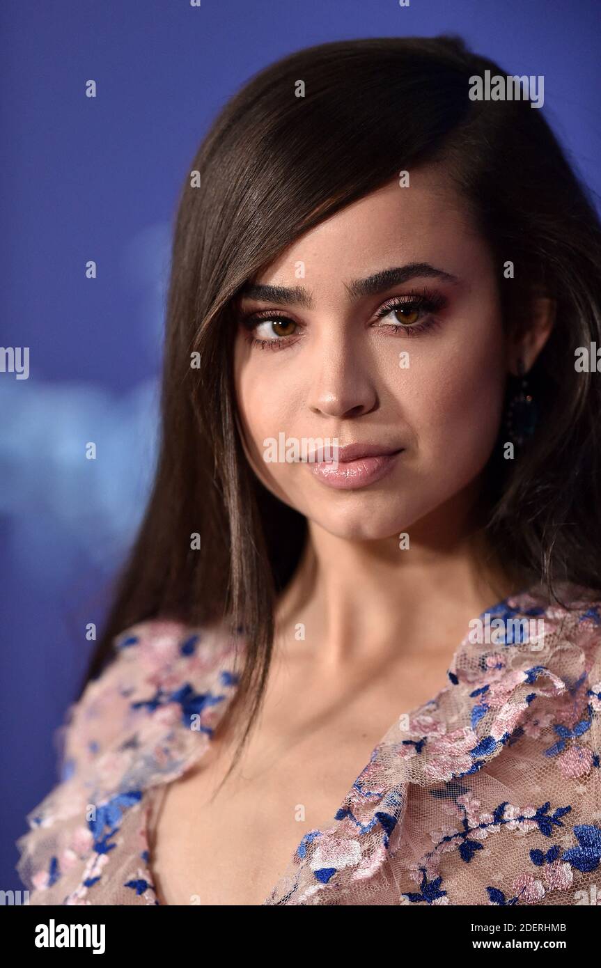 Sofia Carson attends the premiere of Disney's "Frozen 2" at Dolby ...