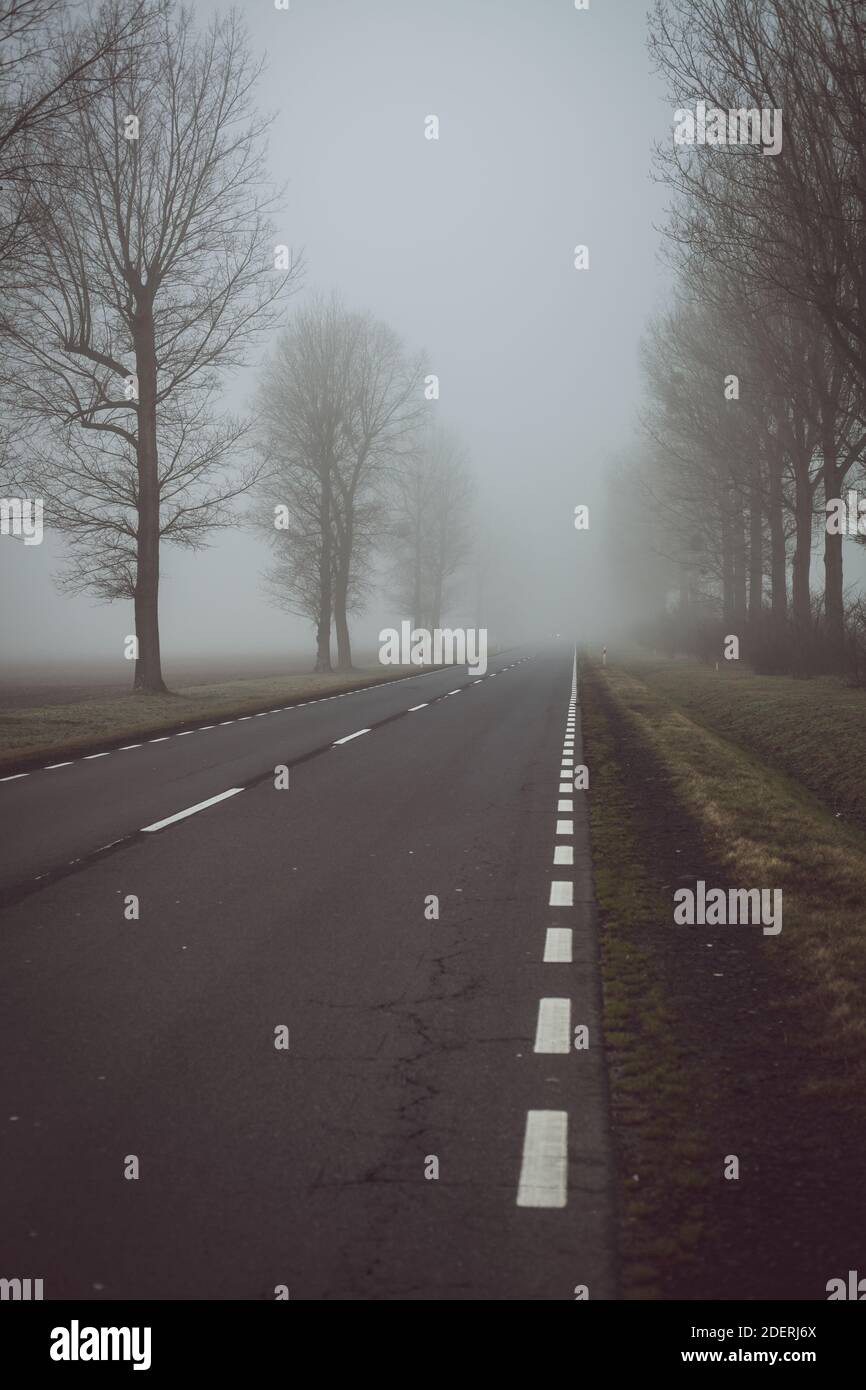 Fog on the empty road Stock Photo - Alamy