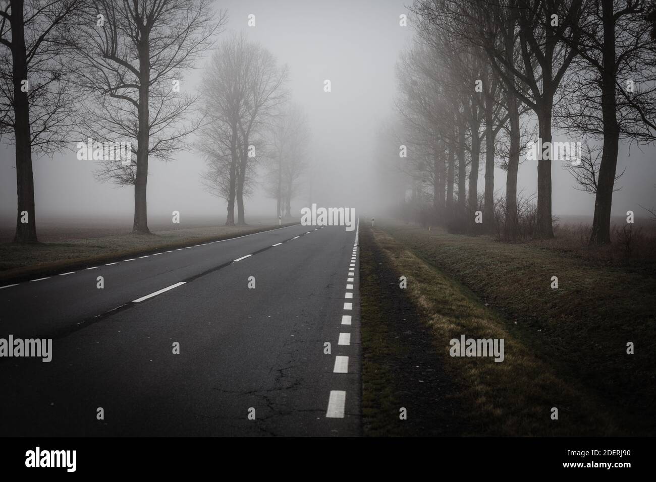Fog on empty street hi-res stock photography and images - Alamy