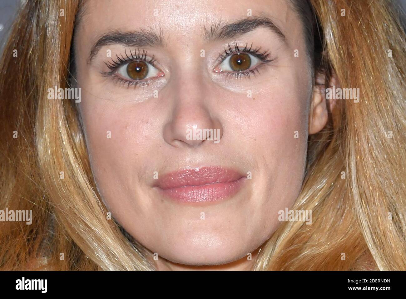 Alice David attending the Pygmalionnes Premiere at the Forum des Images ...