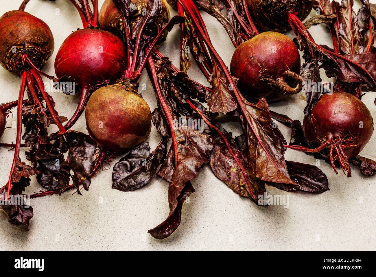 Fresh homegrown beetroot with leaves on light stone concrete background ...