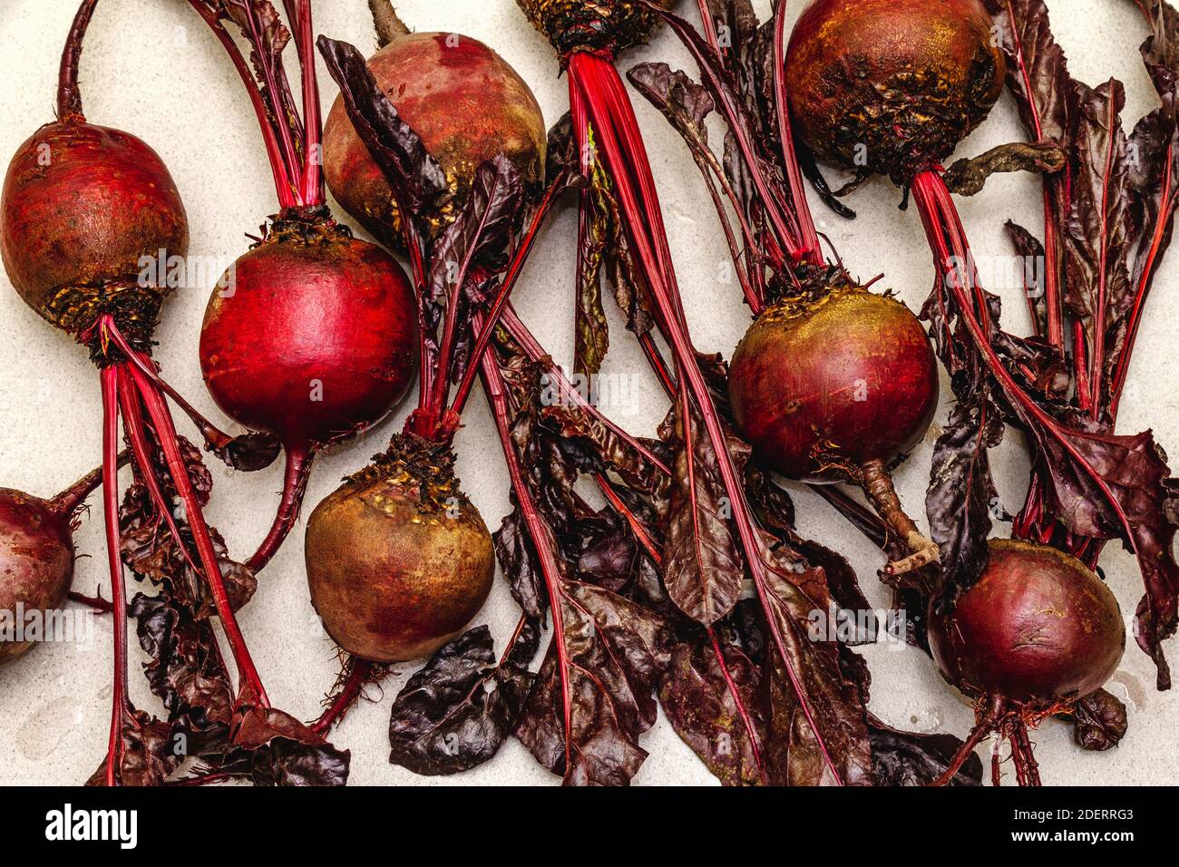 Fresh homegrown beetroot with leaves on light stone concrete background ...