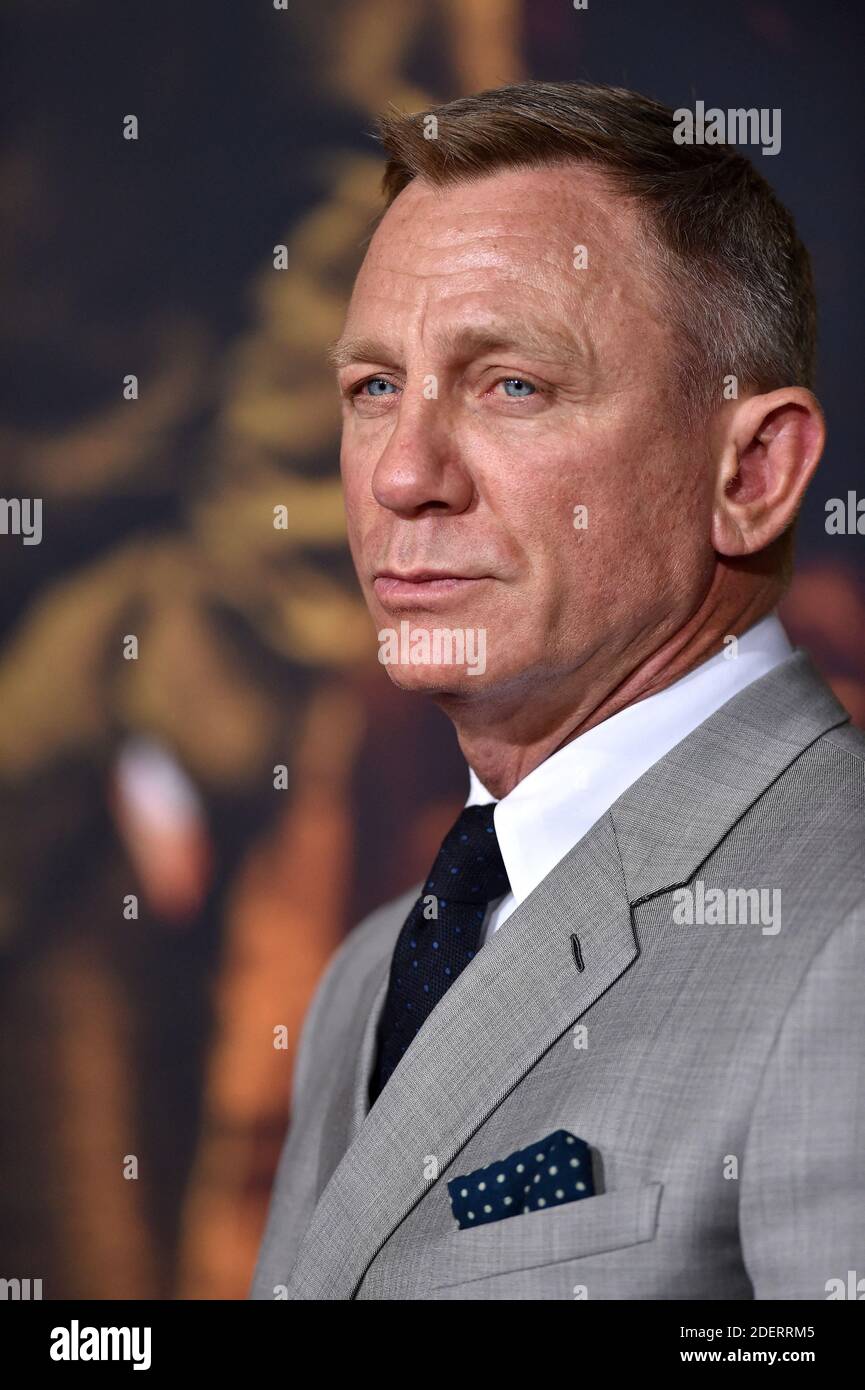Daniel Craig attends the premiere of "Knives Out" at Regency Village ...