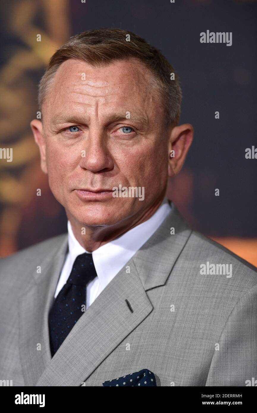 Daniel Craig attends the premiere of "Knives Out" at Regency Village ...