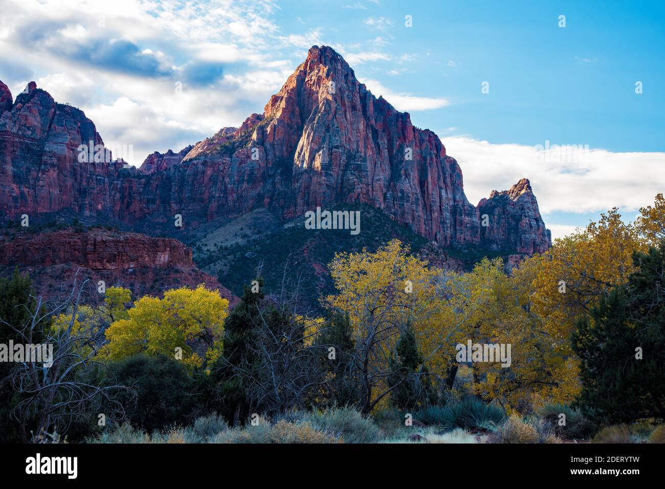'The Watchman" mountain in Zions National Park, Utah, USA. This great ...
