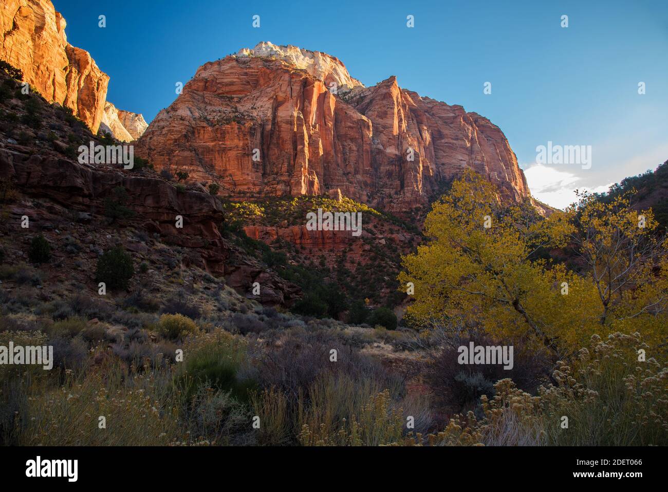 Giant red rock monoliths in early morning light. These magnificent rock ...