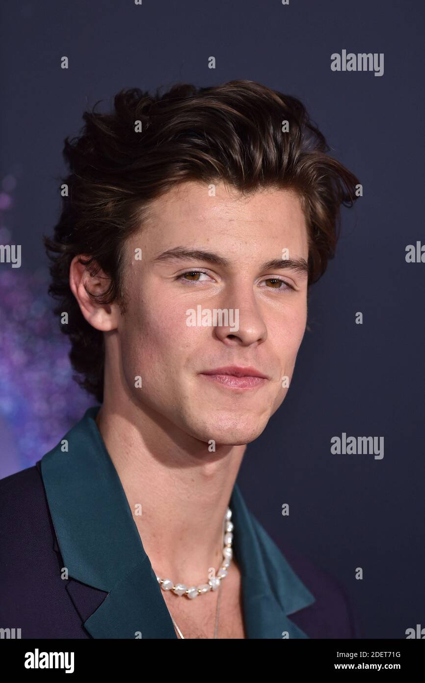 Shawn Mendes attends the 2019 American Music Awards at Microsoft ...