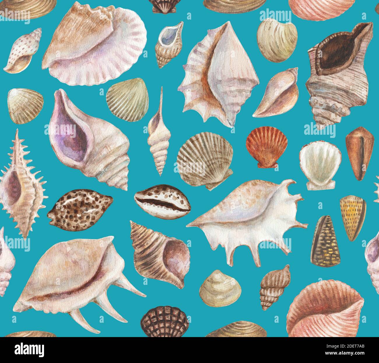Watercolour painting of seafood hi-res stock photography and images - Alamy